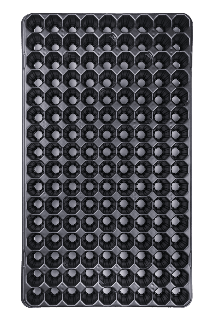 QuickPot QPD | 144 celler | Lång hållbarhet | Lindbloms frö